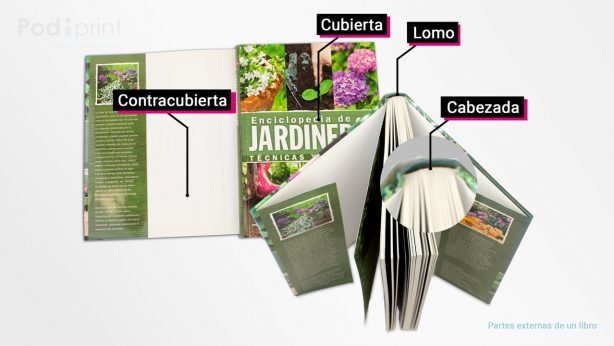 Estas son las partes de un libro [ Exteriores & Interiores ]